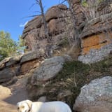 Turtle Rock Loop Trail, Wyoming - 1,097 Reviews, Map | AllTrails
