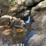 Turtle Rock Loop Trail, Wyoming - 1,097 Reviews, Map | AllTrails