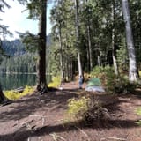 Cora Lake Trail, Washington - 281 Reviews, Map | AllTrails