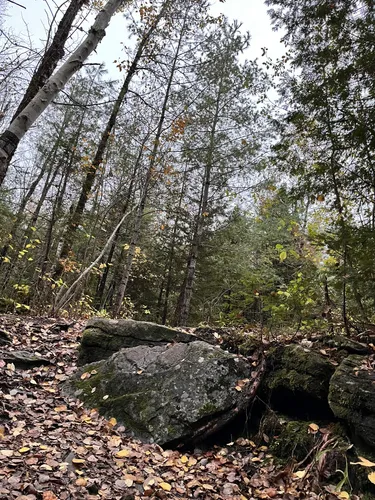Best Waterfall Trails in Fredericton | AllTrails