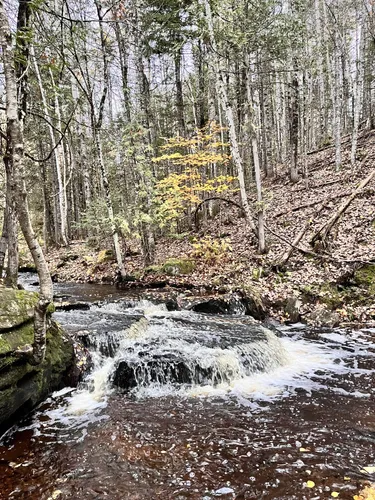 Best Waterfall Trails in Fredericton | AllTrails