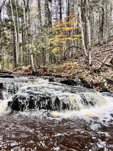 Best Waterfall Trails in Fredericton | AllTrails