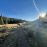 Raspberry Mountain Trail via Ring the Peak Trail, Colorado - 1,800 ...