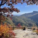 Wiseman's View Trail, North Carolina - 454 Reviews, Map | AllTrails