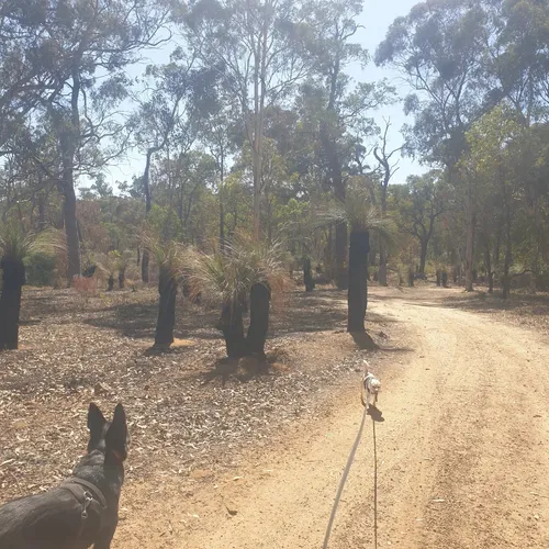 Best Hikes and Trails in Dawn Atwell Reserve | AllTrails