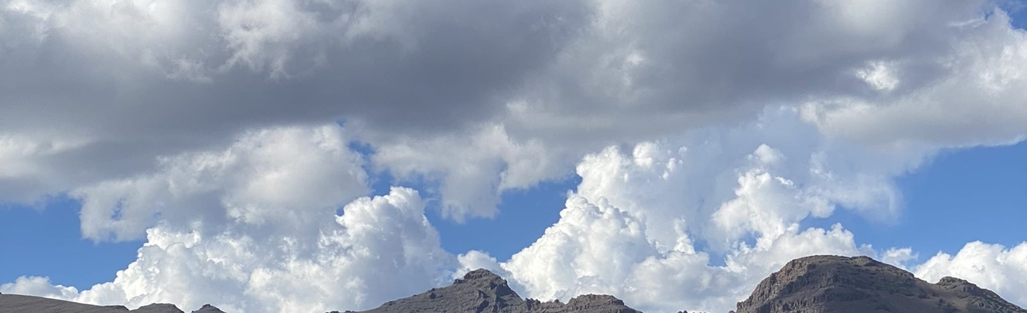 Leavitt Lake Trail, California - 85 Reviews, Map | AllTrails