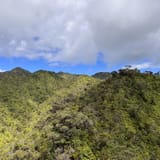 Manana Ridge Trail to Ko'olau Summit, Oahu, Hawaii - 172 Reviews, Map ...