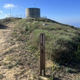 Ocean Overlook Loop, California - 942 Reviews, Map | AllTrails