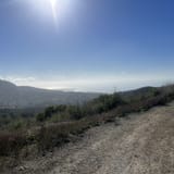 Ocean Overlook Loop, California - 942 Reviews, Map | AllTrails