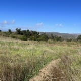 Ocean Overlook Loop, California - 942 Reviews, Map | AllTrails