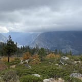 Beehive Meadow Trail, California - 43 Reviews, Map | AllTrails