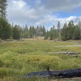 Beehive Meadow Trail, California - 43 Reviews, Map | AllTrails