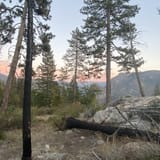 Beehive Meadow Trail, California - 43 Reviews, Map | AllTrails