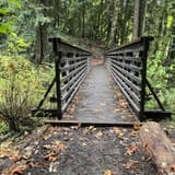 Tryon Creek Triple Bridge Loop, Oregon - 1,373 Reviews, Map | AllTrails