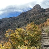 Lower Mill B North Fork Trail, Utah - 1,539 Reviews, Map | AllTrails