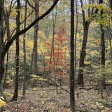 Monument Trail Loop, New Jersey - 1,793 Reviews, Map | AllTrails