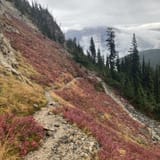 Easy Pass Trail, Washington - 464 Reviews, Map | AllTrails