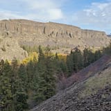Northrup Canyon, Washington - 230 Reviews, Map | AllTrails