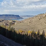 Northrup Canyon, Washington - 230 Reviews, Map | AllTrails