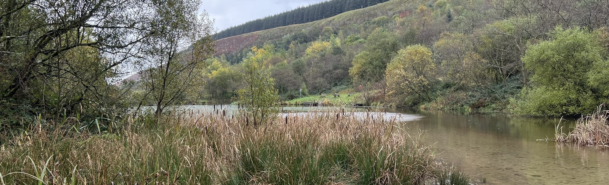 The Clydach Lakes, Rhondda Cynon Taf, Wales - 56 Reviews, Map | AllTrails