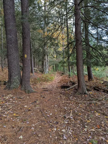 Best Hikes and Trails in Milanville | AllTrails