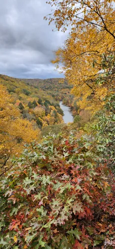 Best Hikes and Trails in Bear Run Nature Reserve | AllTrails