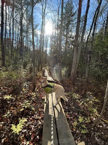 Best Hikes and Trails in Mud Pond Conservation Area | AllTrails