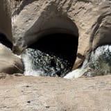 Seven Tea Cups (7TC) via Dry Creek Meadow, California - 287 Reviews ...