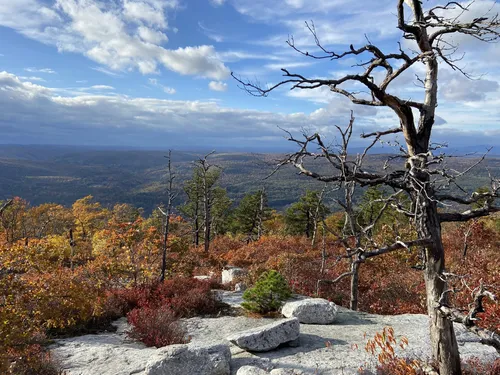 Best Hikes and Trails in Shawangunk Ridge State Forest | AllTrails