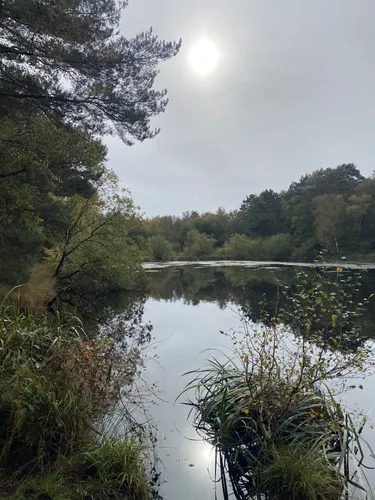 Melhores trilhos e caminhadas em Yateley Common Country Park | AllTrails