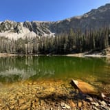 Trampas Lakes Trail, New Mexico - 538 Reviews, Map | AllTrails