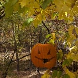 Memory Grove Trail, Utah - 1,273 Reviews, Map | AllTrails