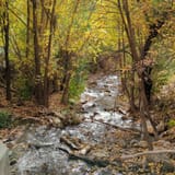 Memory Grove Trail, Utah - 1,273 Reviews, Map | AllTrails