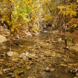 Memory Grove Trail, Utah - 1,273 Reviews, Map | AllTrails