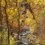 Memory Grove Trail, Utah - 1,273 Reviews, Map | AllTrails
