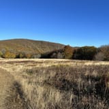 Whigg Meadow via Mud Gap Trail, North Carolina - 125 Reviews, Map ...