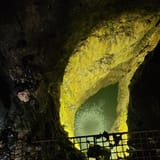 Cave Spring Loop Trail, Missouri - 323 Reviews, Map | AllTrails