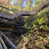 Cave Spring Loop Trail, Missouri - 323 Reviews, Map | AllTrails
