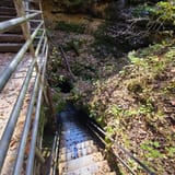 Cave Spring Loop Trail, Missouri - 323 Reviews, Map | AllTrails