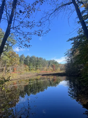 2023 Best River Trails in Exeter | AllTrails