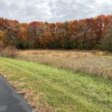 Lake Rebecca Park Reserve Paved Multi-Use Trail, Minnesota - 258 ...