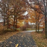 Lake Rebecca Park Reserve Paved Multi-Use Trail, Minnesota - 258 ...