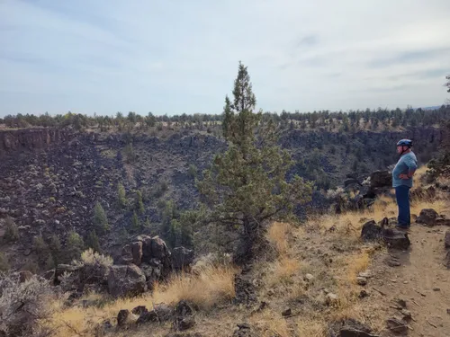 2023 Best Moderate Trails in Maston | AllTrails