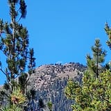 Hope Valley, California - 113 Reviews, Map | AllTrails