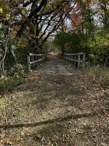 2023 Best Bird Watching Trails in Myre-Big Island State Park | AllTrails