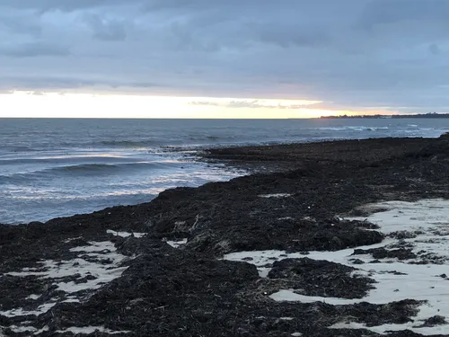 Best Hikes and Trails in Norra Sandskogen naturreservat | AllTrails