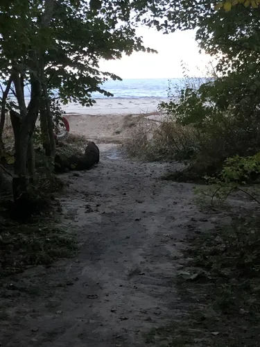 Best Hikes and Trails in Norra Sandskogen naturreservat | AllTrails