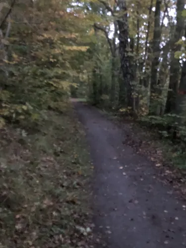 Best Hikes and Trails in Norra Sandskogen naturreservat | AllTrails