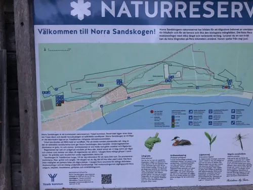 Best Hikes and Trails in Norra Sandskogen naturreservat | AllTrails