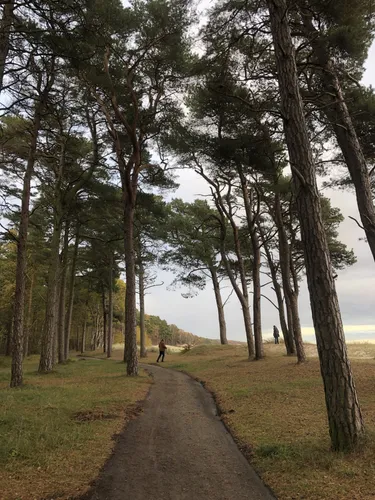 Best Hikes and Trails in Norra Sandskogen naturreservat | AllTrails